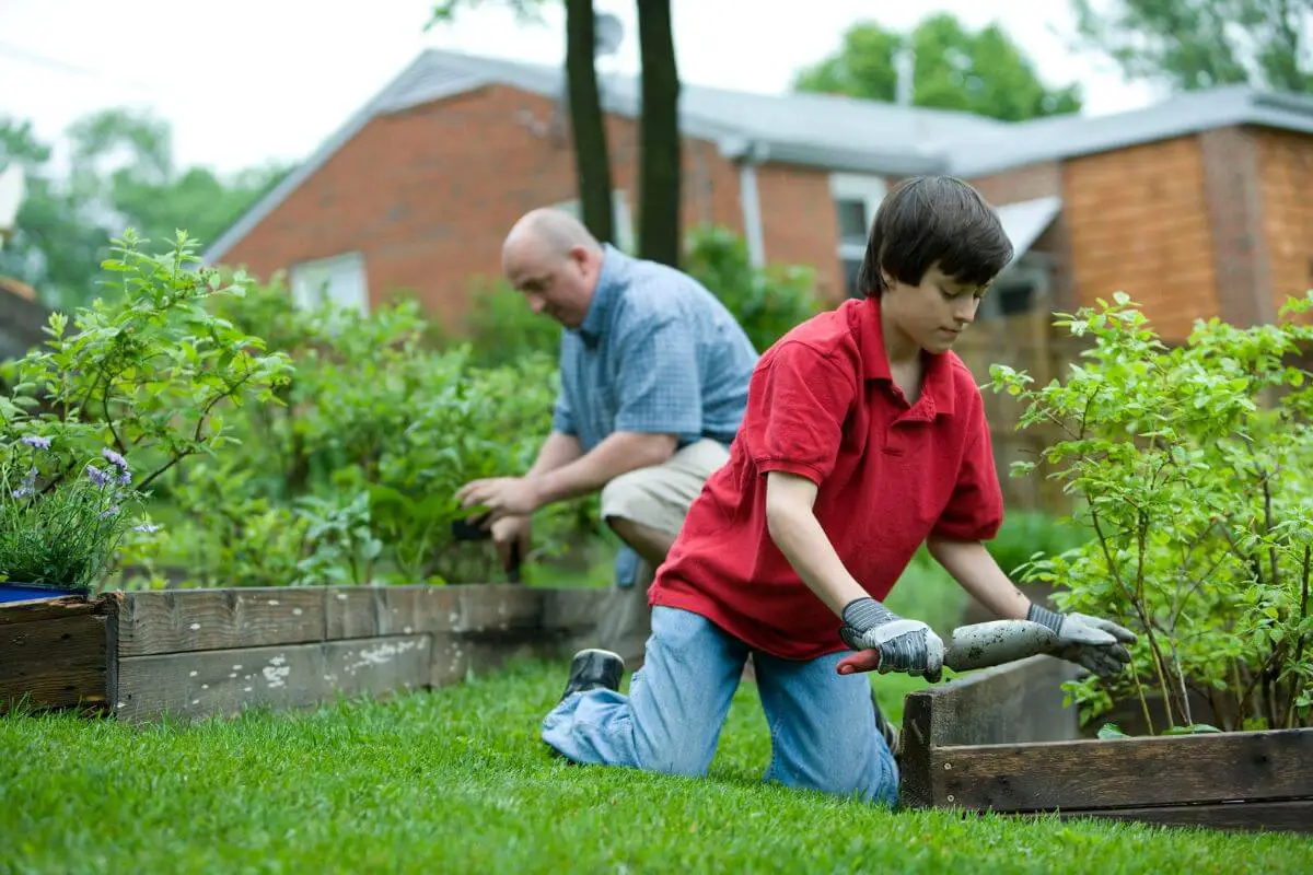 How To Decorate Your Garden At Home Tips And Ideas