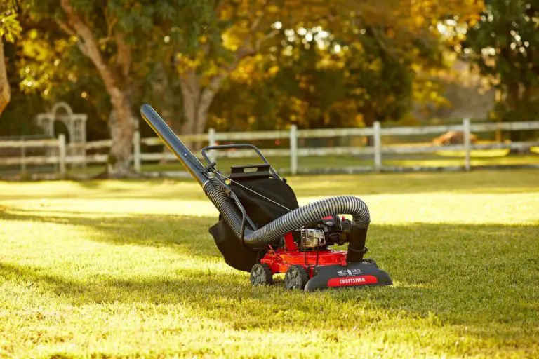 Lawn Sweeper vs. Lawn Vacuum: Which One Should You Choose?