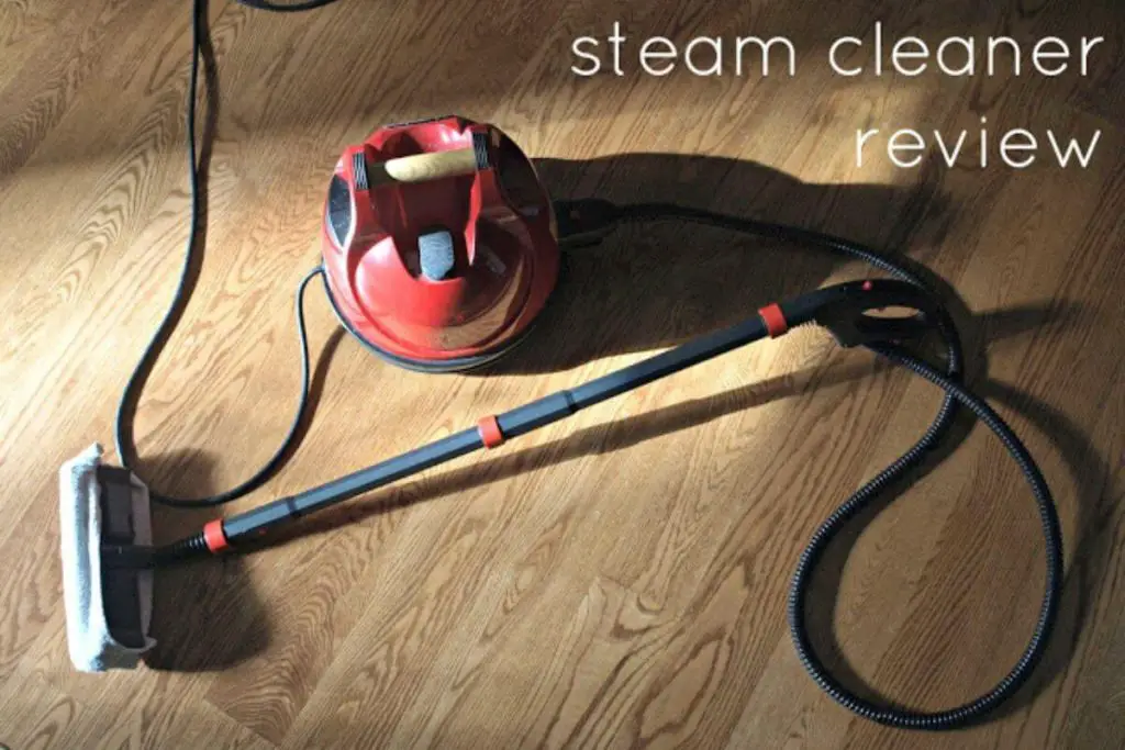 Sargent Steam vs Ladybug: Choosing the Ideal Steam Cleaner