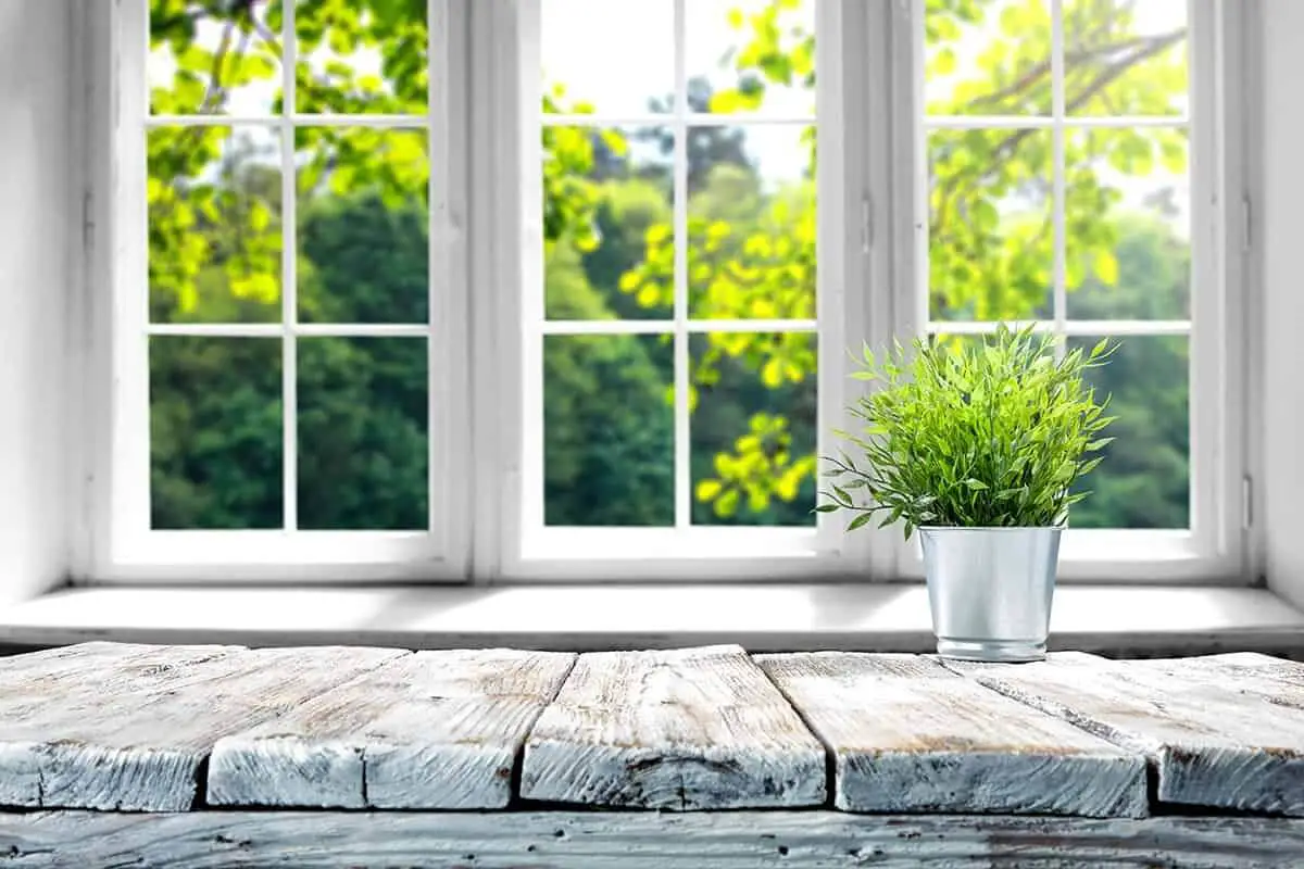 ESW Windows vs. PGT: Choosing the Right Windows for Your Home