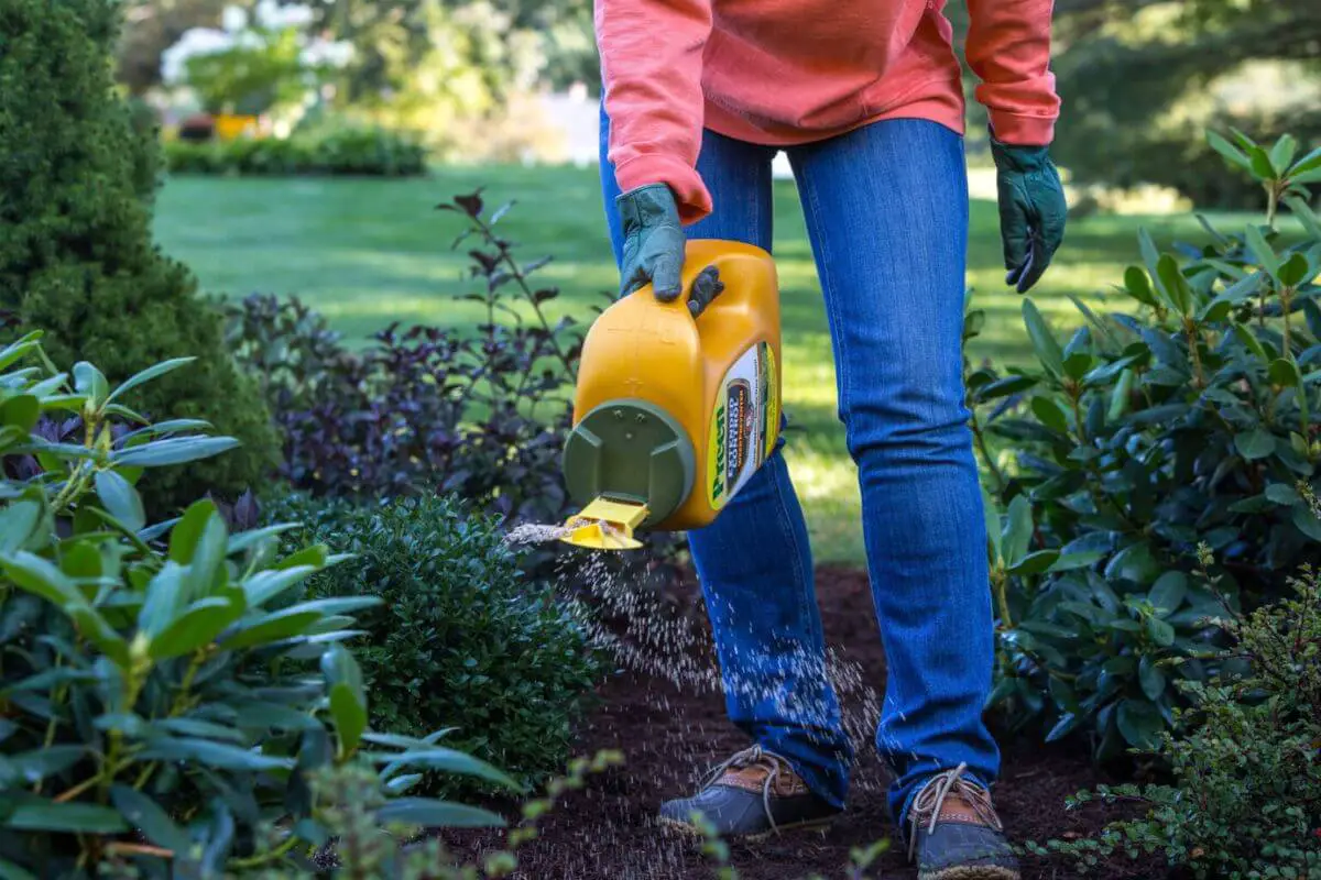 Treflan vs. Preen: Which Weed Killer is Right for Your Garden?