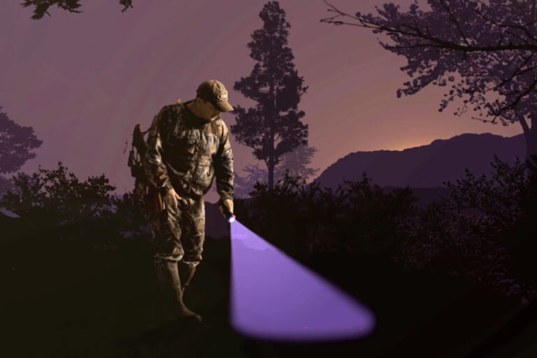 The Ultimate Guide to Finding the Best Blood Tracking Light