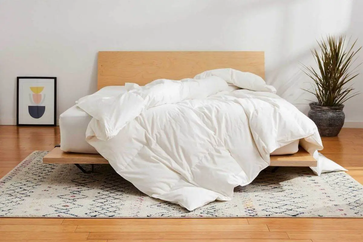 Cuddledown vs. Company Store: Choosing the Perfect Bedding