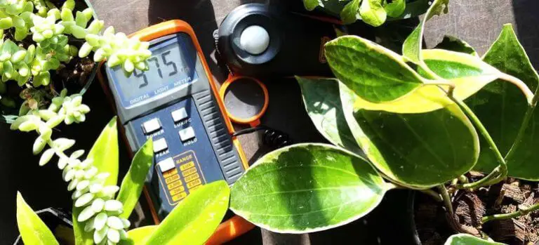 Best PAR Meter for LED Grow Lights