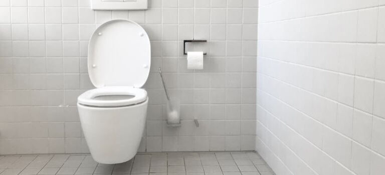 American Standard Cadet 3 vs Champion 4: Choosing the Right Toilet for ...