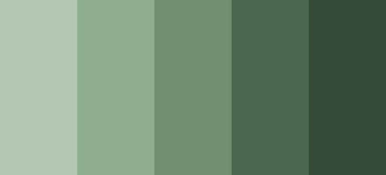Sage vs Olive Green: Decoding the Hues