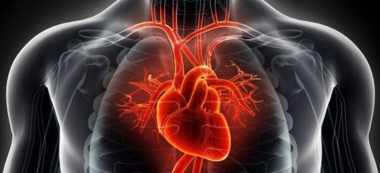 Pericardial Window Vs Pericardiocentesis: Critical Insights