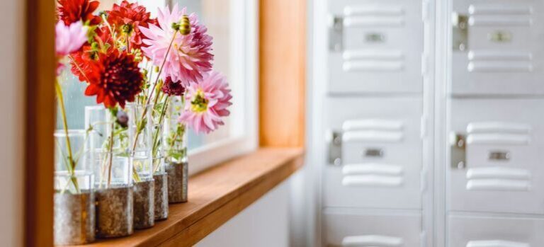 Window Sill vs. Picture Frame: Elevating Your Home Decor