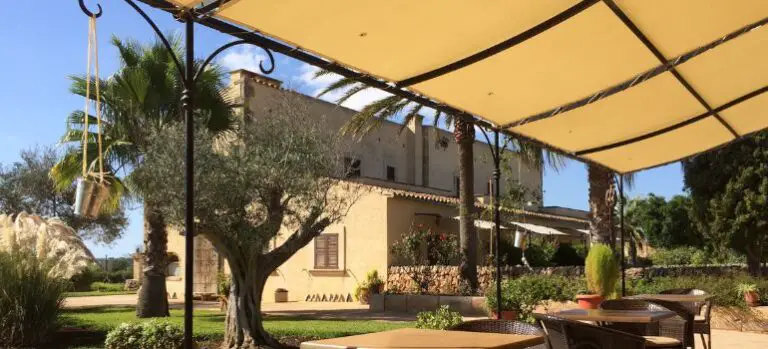 How to Build an Outdoor Canopy Frame: A Step-by-Step Guide