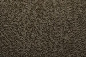 Carpet Rippling Explained: Causes & Solutions